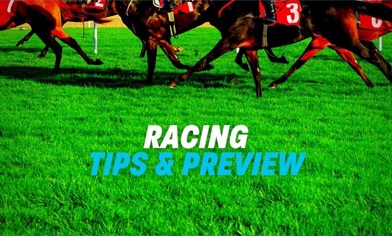 Taree July 27th, Tips and Previews - Bet Nation Tips